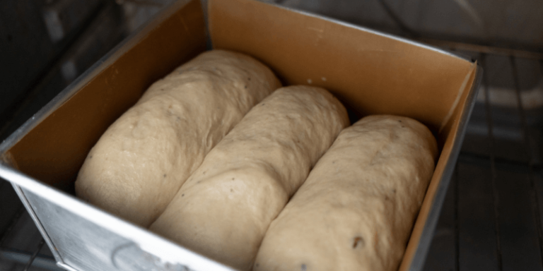 4 Best Bread Proofing Boxes to Get in 2024