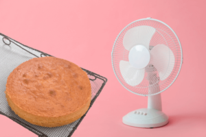 3 Easy Ways to Quickly Cool a Cake (Tested)