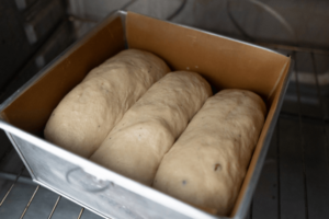How to Proof Dough in Oven & How to Tell When It’s Done