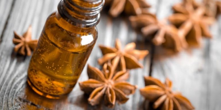Where to Buy Anise Oil for Baking (Grocery Store + Online)