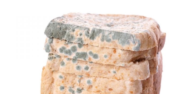 How Soon After Eating Moldy Bread Will I Get Sick