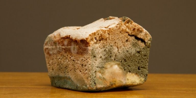 How to Tell if Bread is Moldy (What Does It Look Like)
